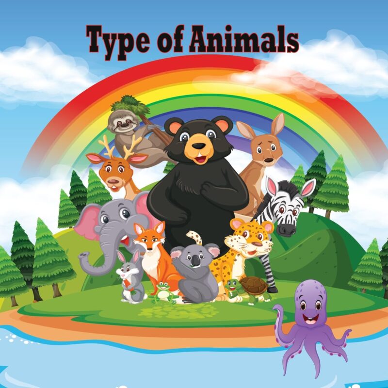 Types of Animals: Lessons for children on the different types of ...